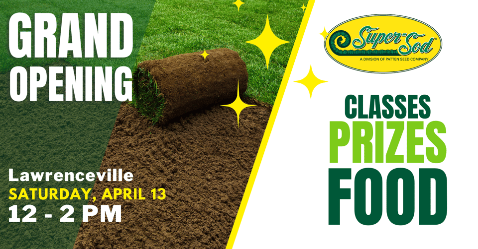 Super Sod Lawrenceville Ga