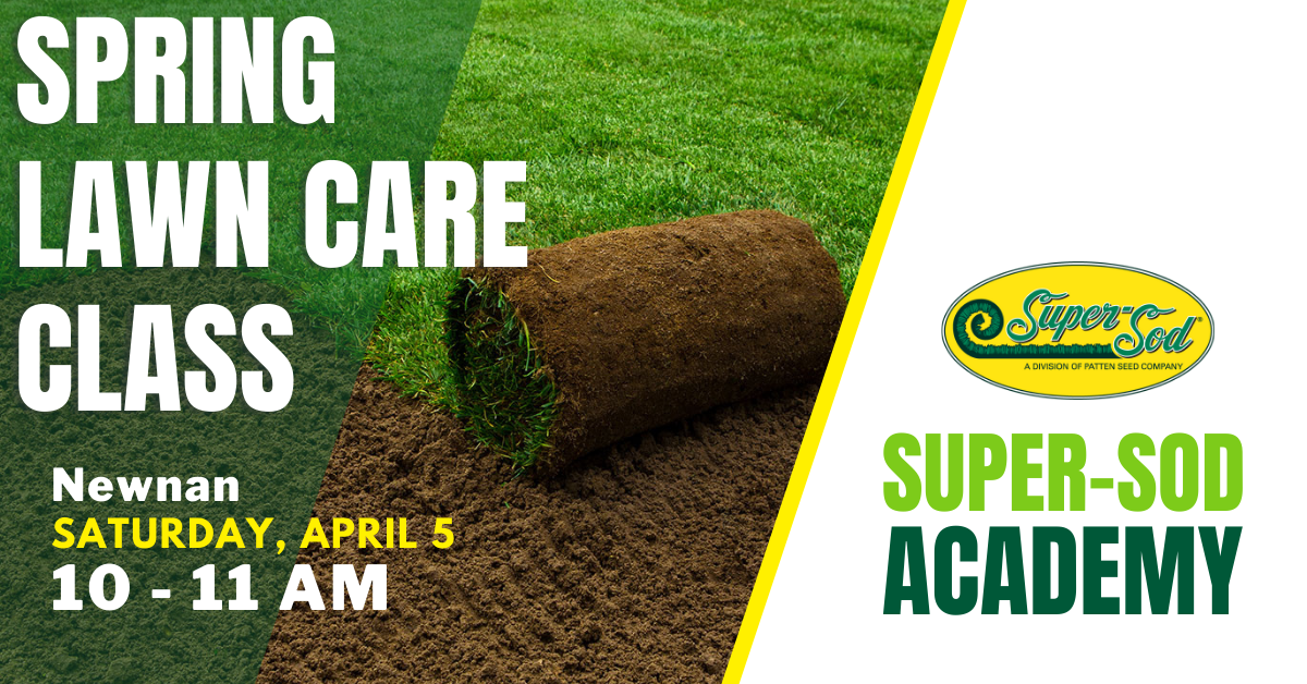 Newnan, GA | Super-Sod | Georgia's farm-fresh sod