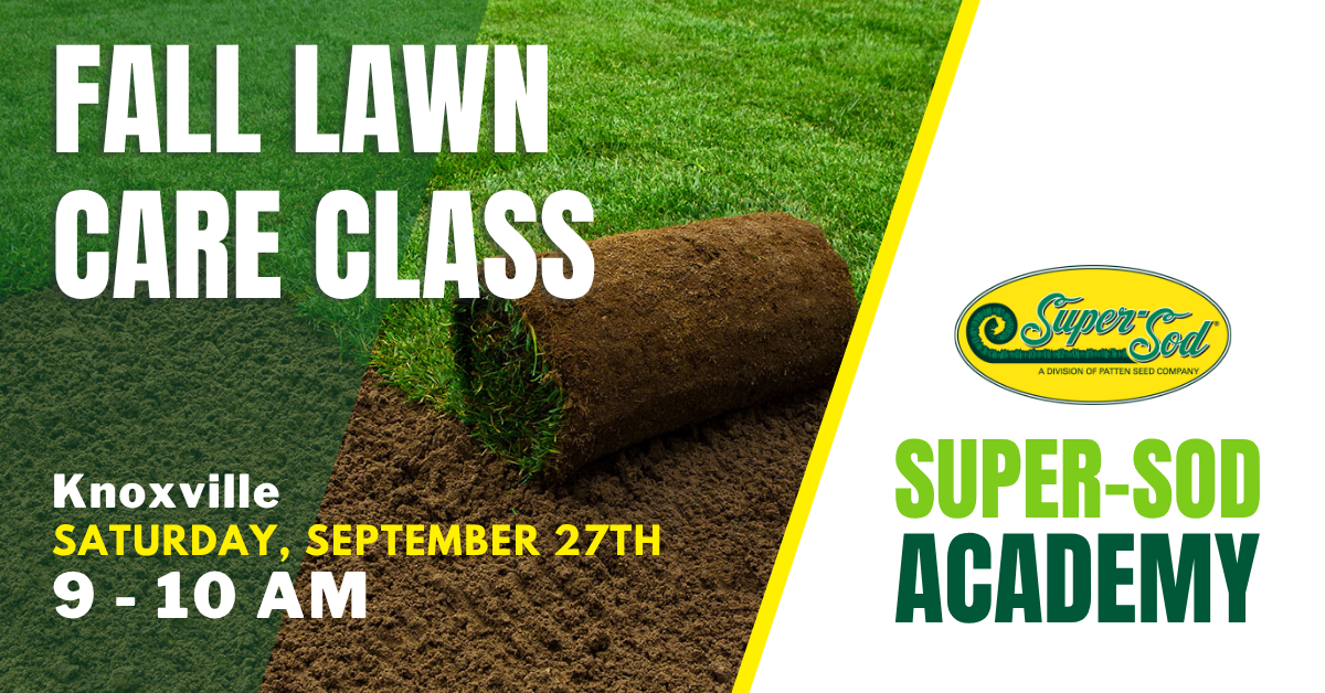 Knoxville, TN | Super-Sod | Tennessee's farm-fresh sod