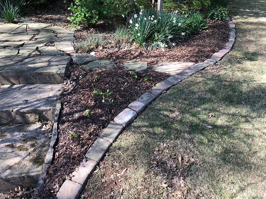 Lawn Border Edging | Lawn Care from Super-Sod