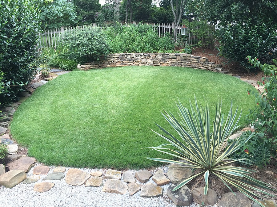 Lawn Border Edging | Lawn Care from Super-Sod