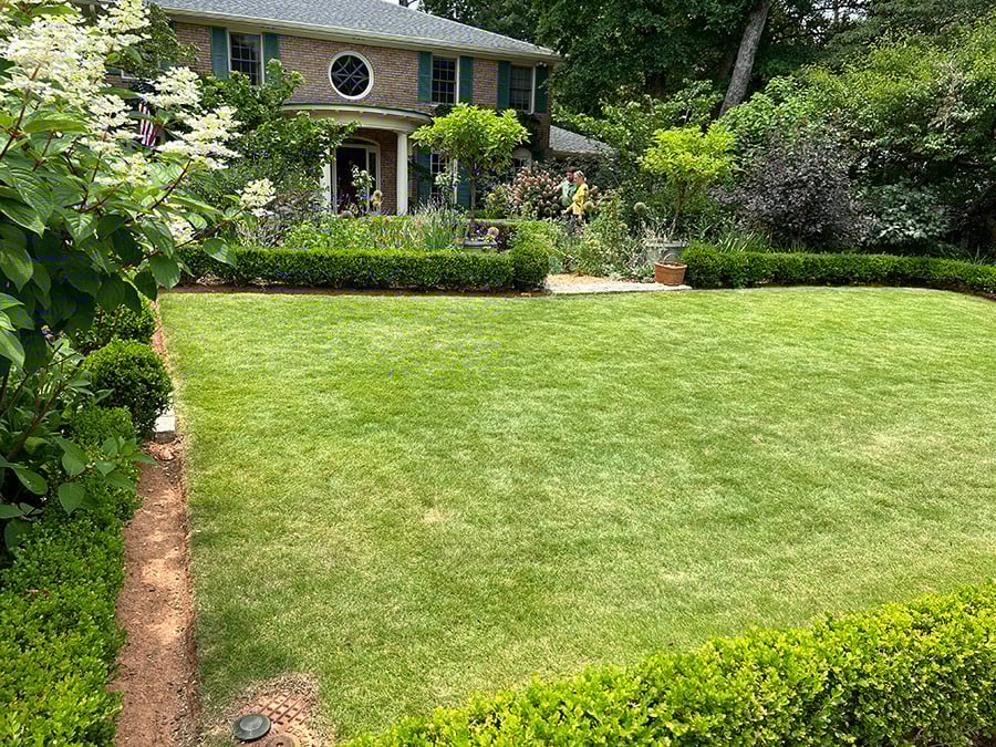 Lawn Border Edging | Lawn Care from Super-Sod