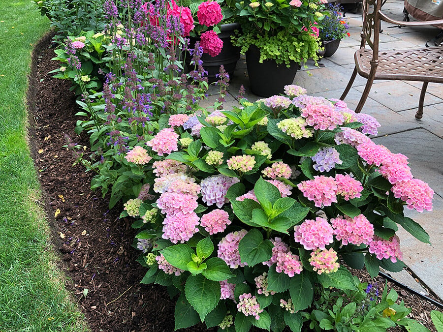 Lawn Border Edging | Lawn Care from Super-Sod