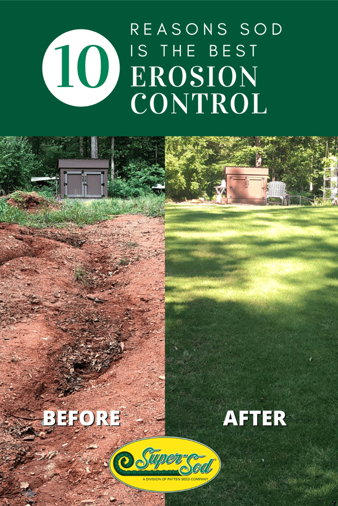 Why Use Sod for Erosion Control | Laying Sod