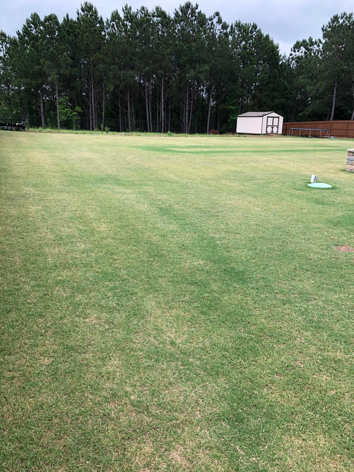 Reel Mower vs. Robotic Lawn Mower – A Scalping Study