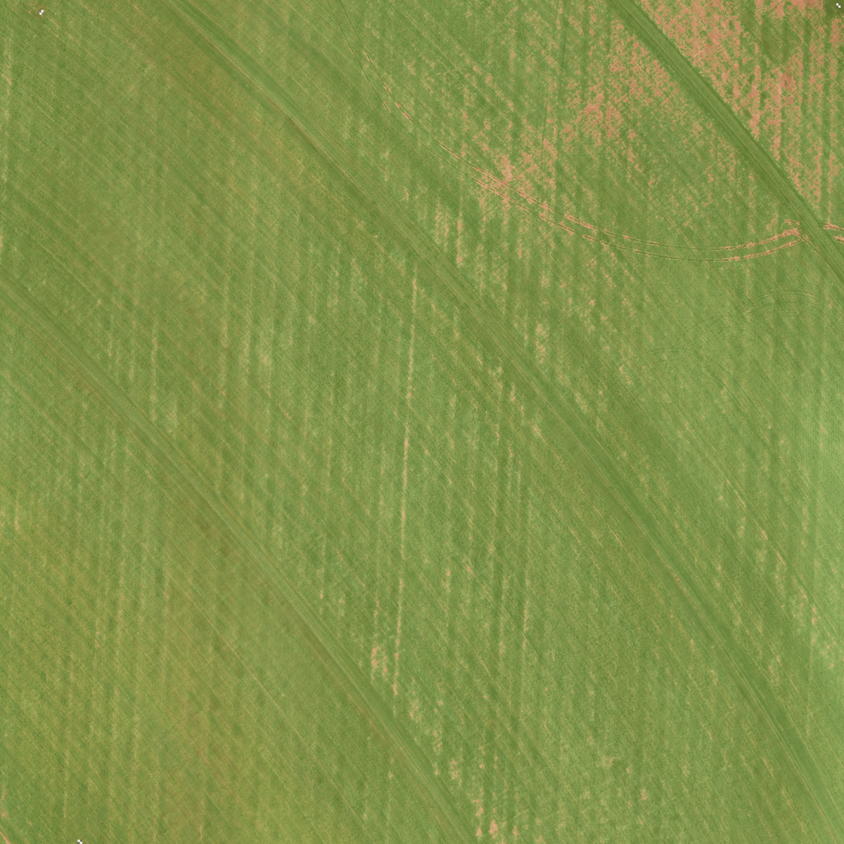 Growing Greener Grass with Drones | Lawn Care Tips