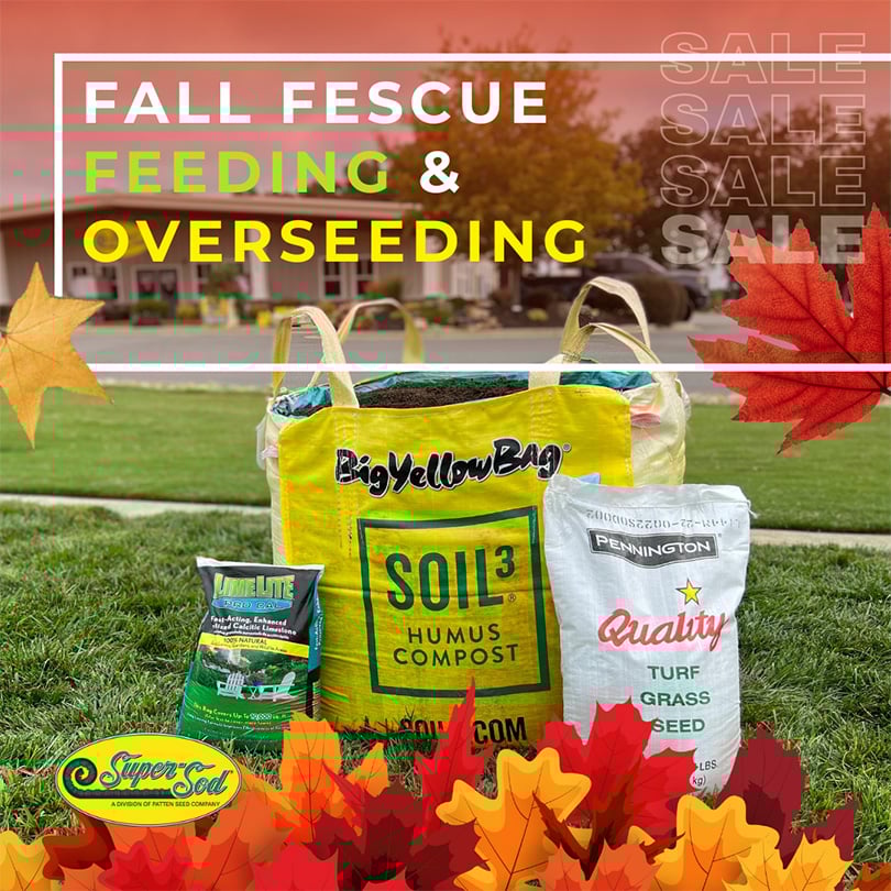 Winterizer Fertilizer, Lawn Winterizer | Winter Lawn Care Tips