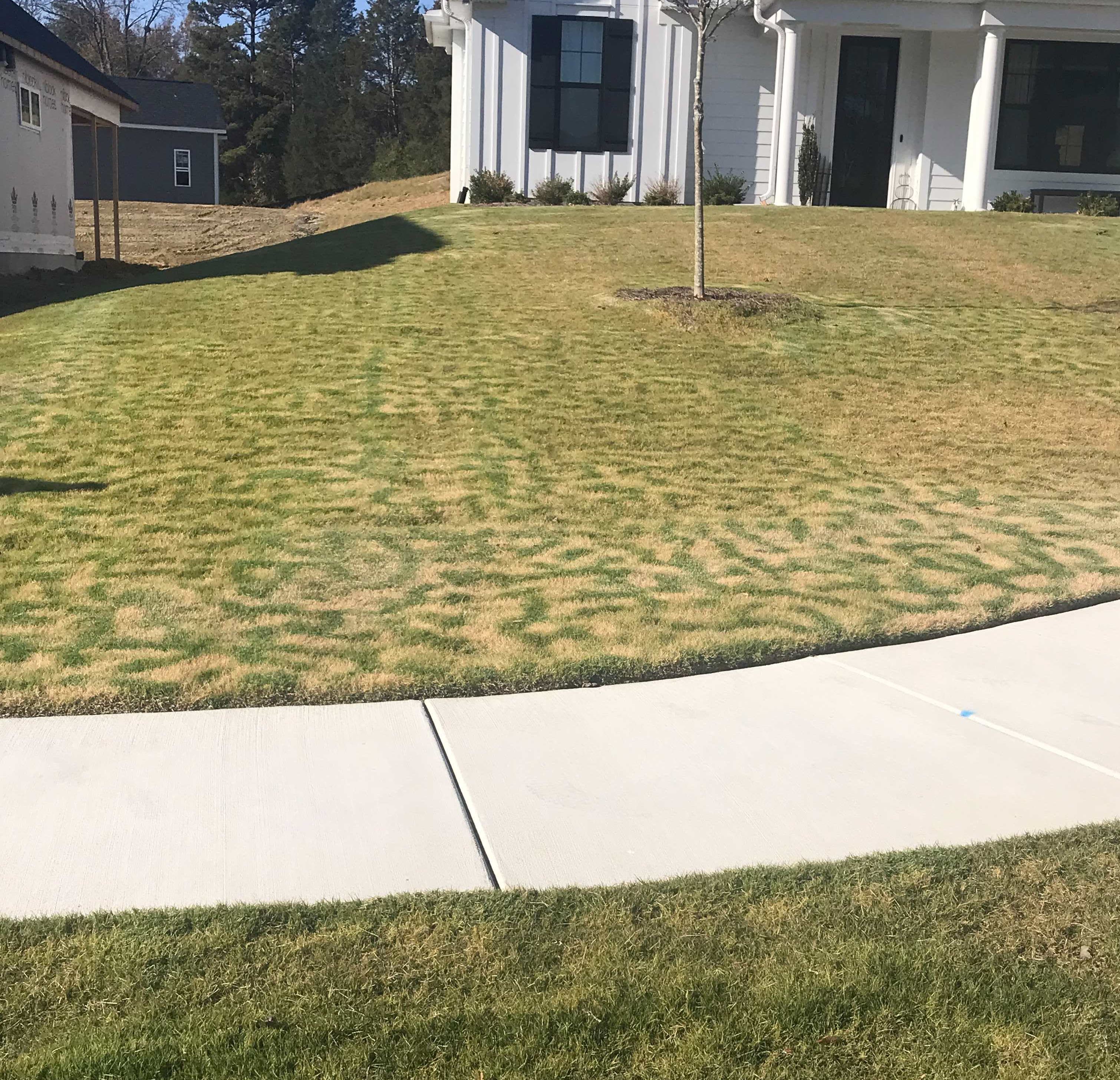 Jack Frost Trails in Lawns | Winter Lawn Care