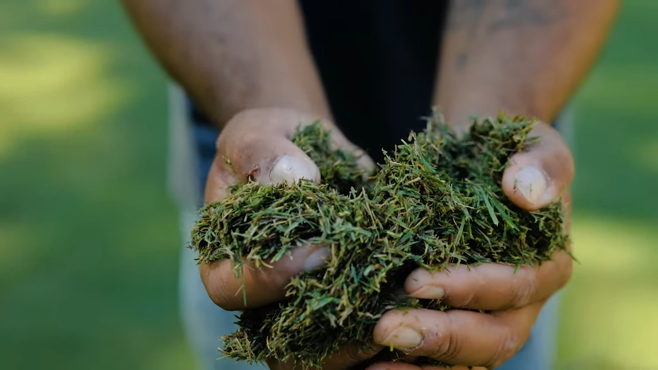 7 Tips to Mow Your Lawn Like a Super-Sod Boss | Lawn Mowing Tips