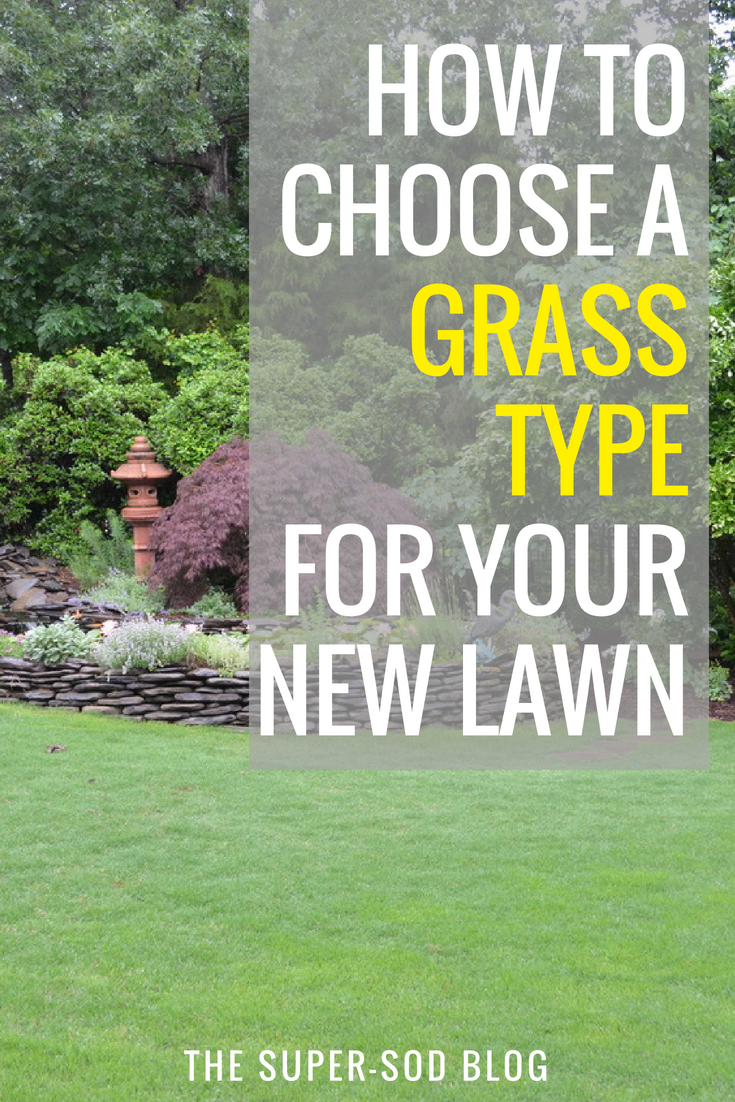 What to Consider When Choosing a Type of Grass for Your Lawn