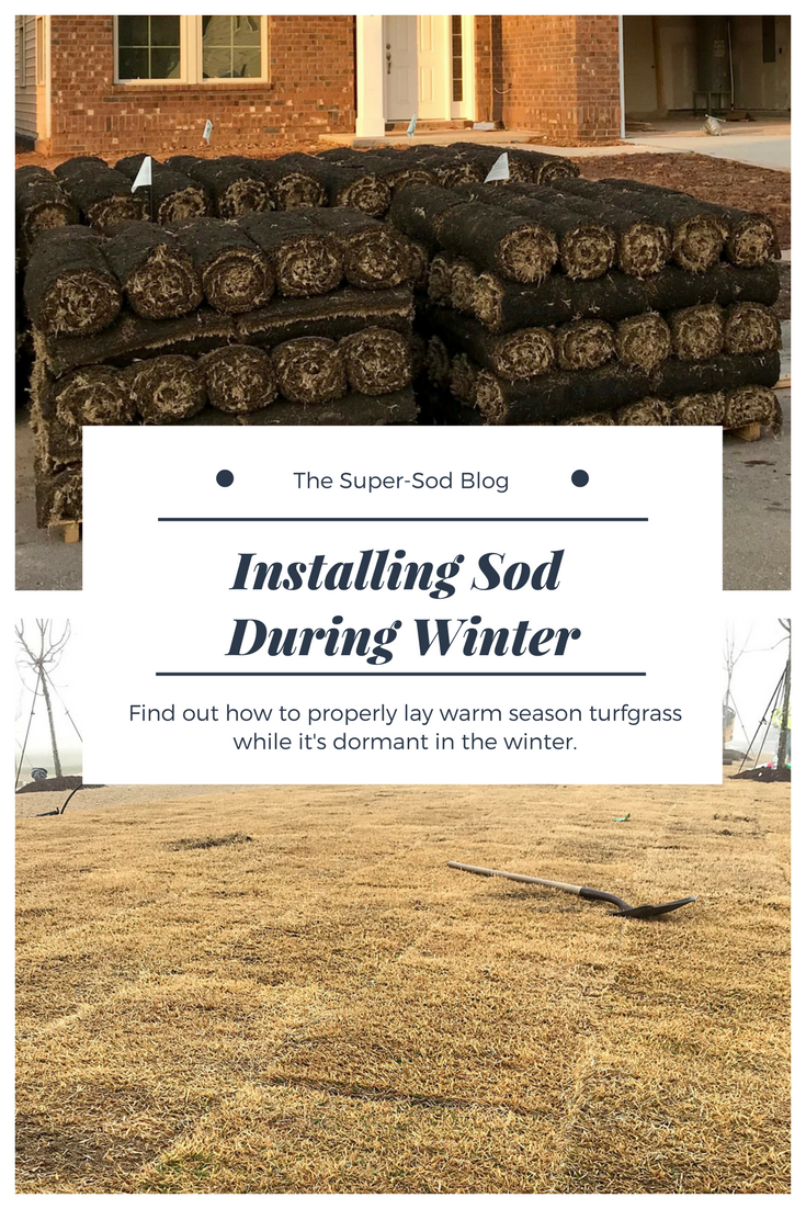 Sod Installation: Laying Sod in the Winter