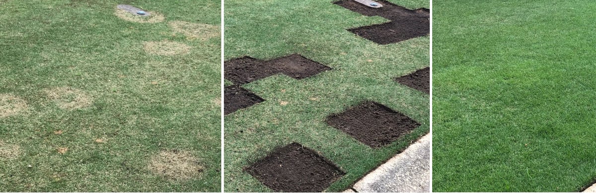 Patching an Existing Lawn with New Sod | Lawn Maintenance