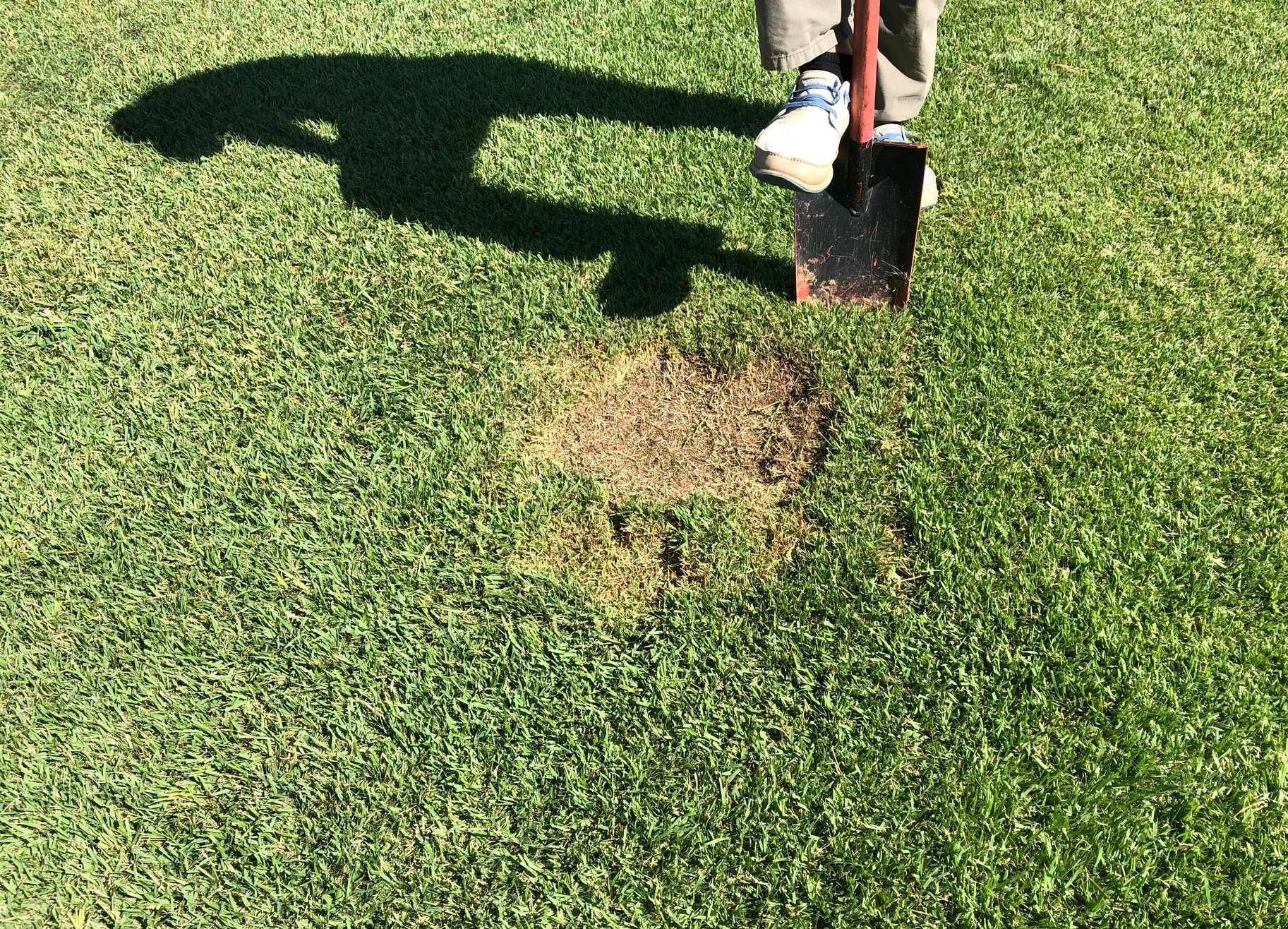 Patching an Existing Lawn with New Sod | Lawn Maintenance