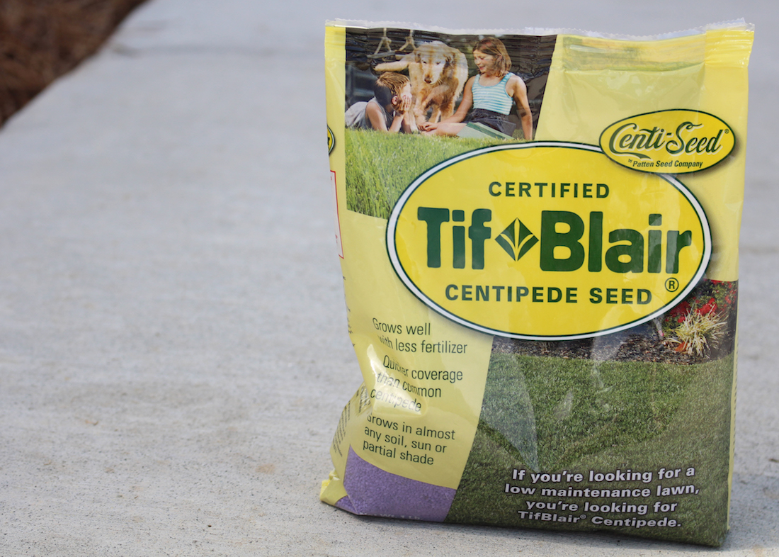 Hardy Perennial Climbing Plants 100pcs Rare Climbing Rose Seeds - Hardy ...