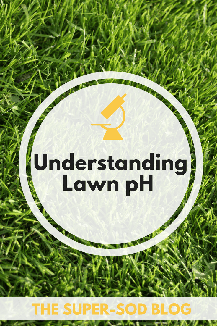 Understanding Lawn pH | Lawn Care & Fertilizing