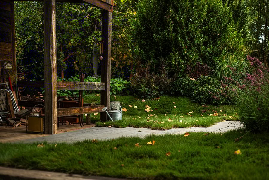 How to Grow a Long Unmowed Zoysia Lawn