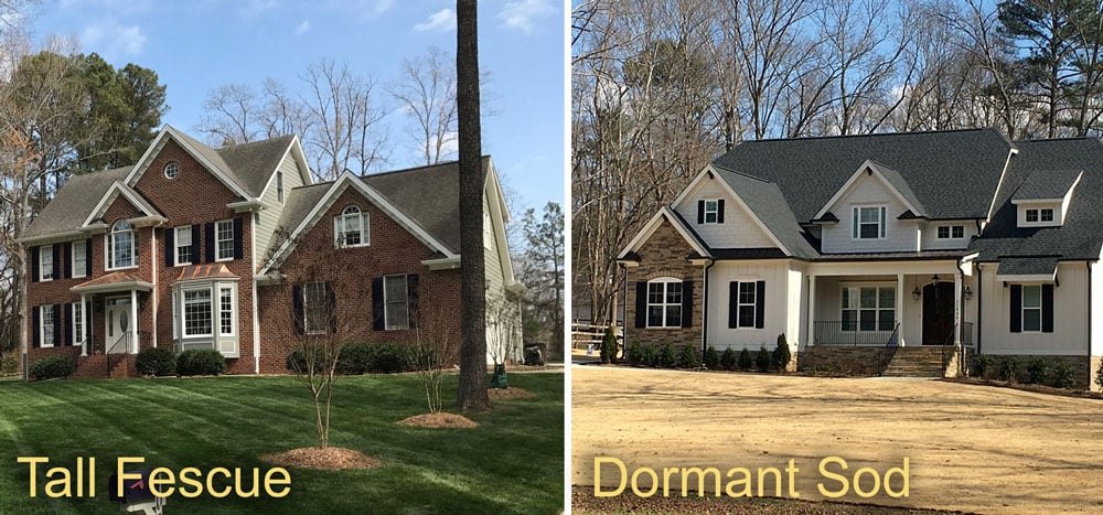 Sod Installation: Laying Sod in the Winter